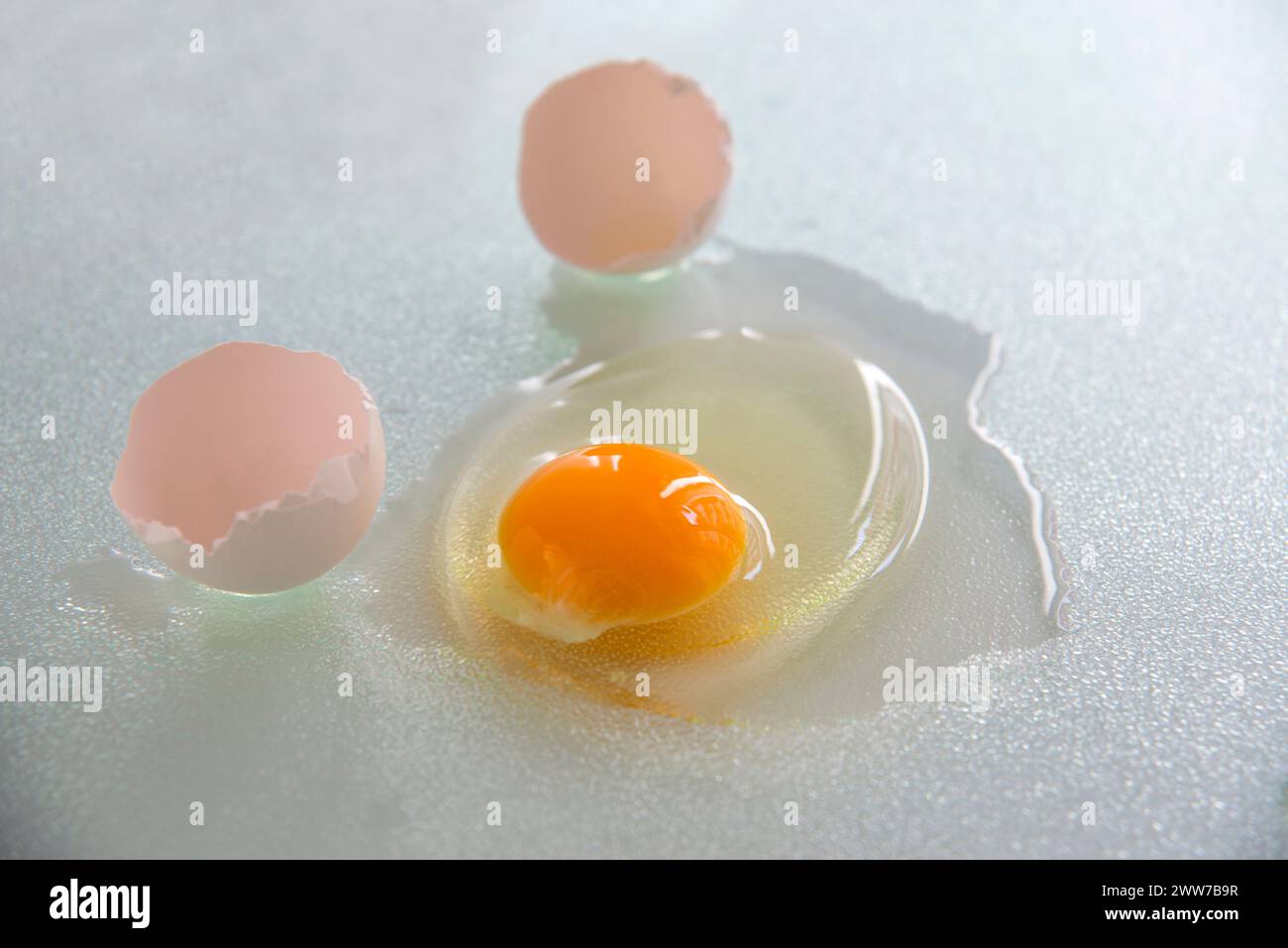 Receta tortilla hi-res stock photography and images - Alamy