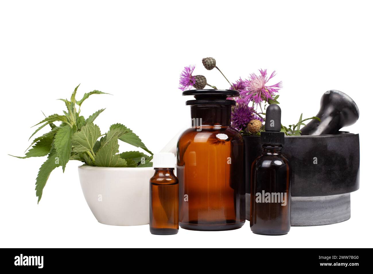 A collection of medicinal herbs, bottles and vessels. Compositions ...