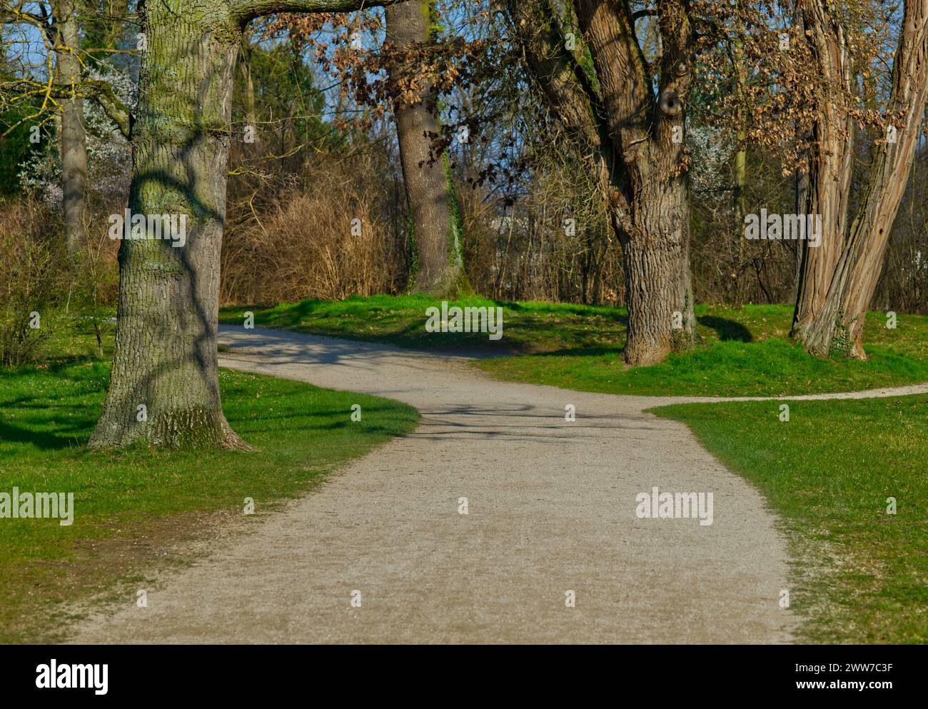 Park scenery with a broad pathway with light ground leading to a ...