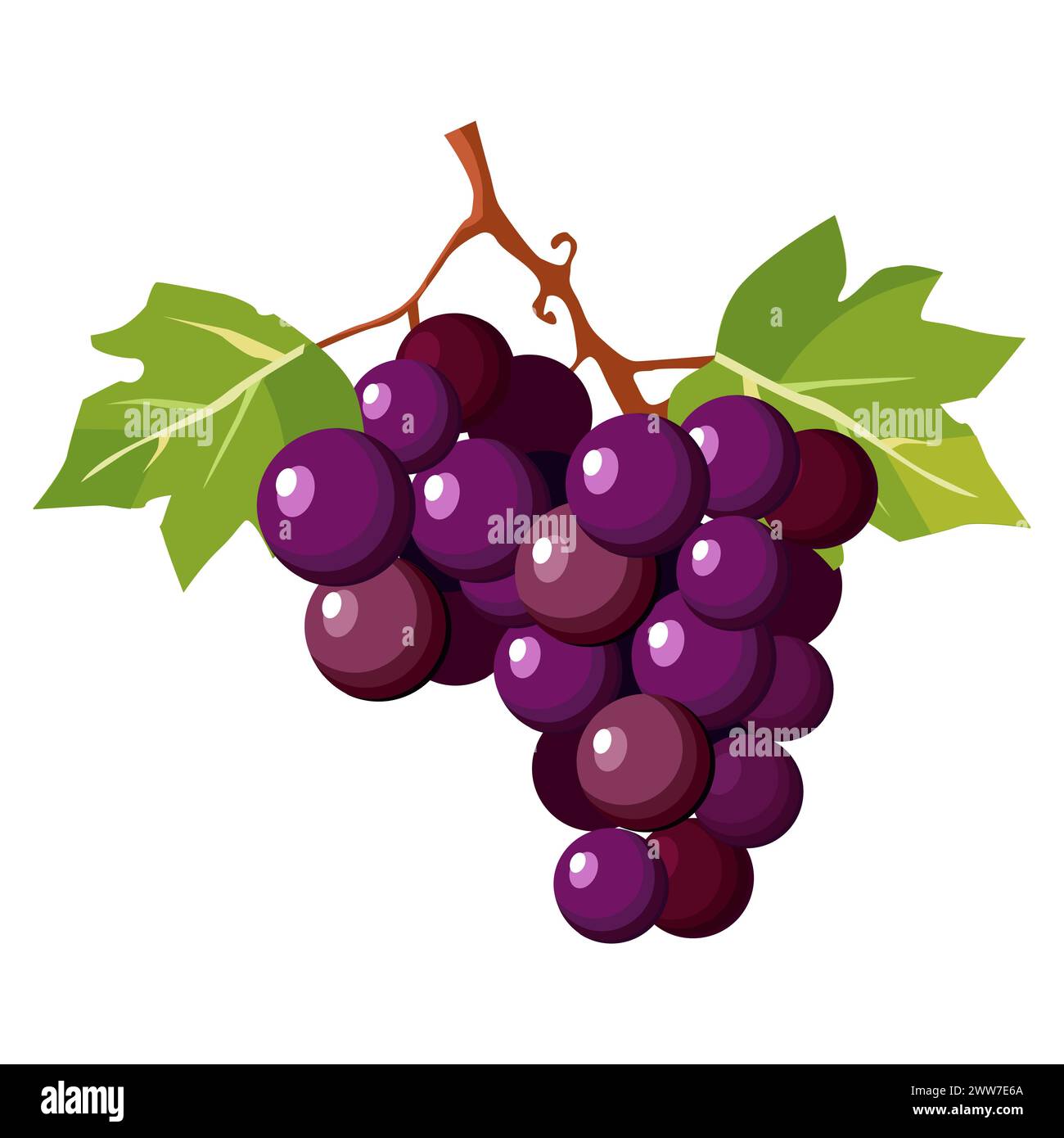 Bunch ripe dark sweet Stock Vector Images - Alamy