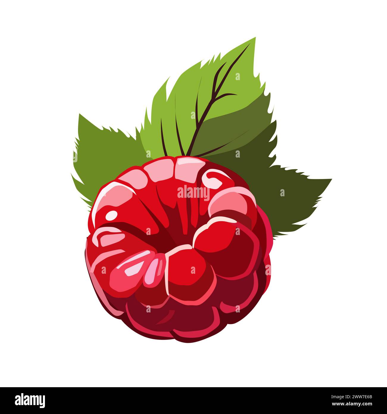 Handful of raspberries Stock Vector Images - Alamy
