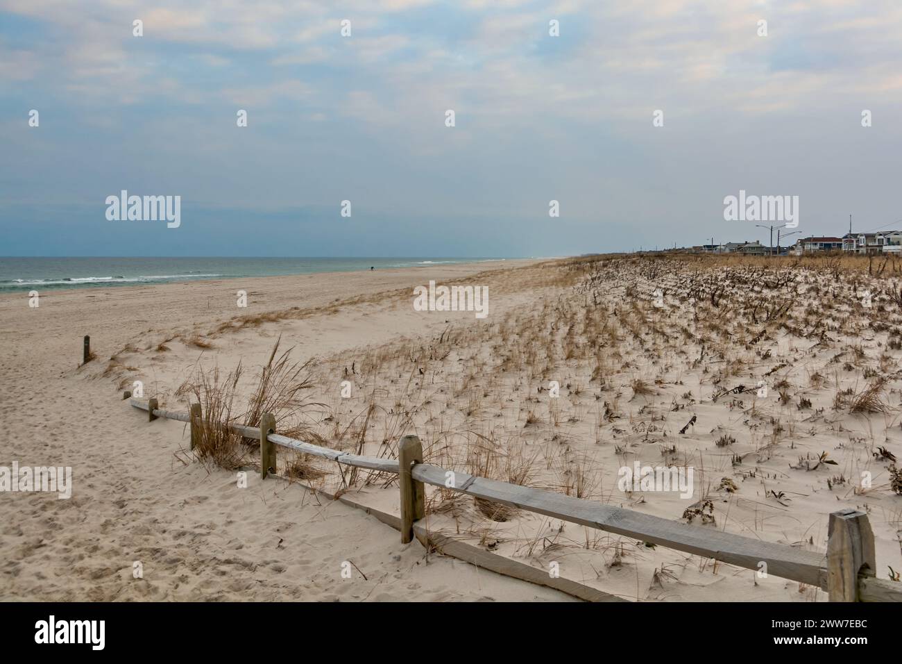 A sandy path guides us through coastal vegetation towards a tranquil ...