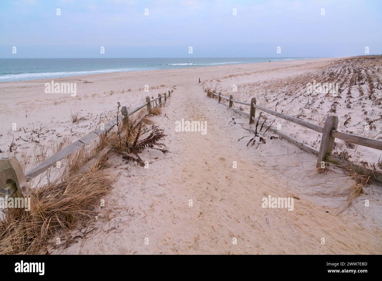 The image captures a sandy trail winding through coastal vegetation ...