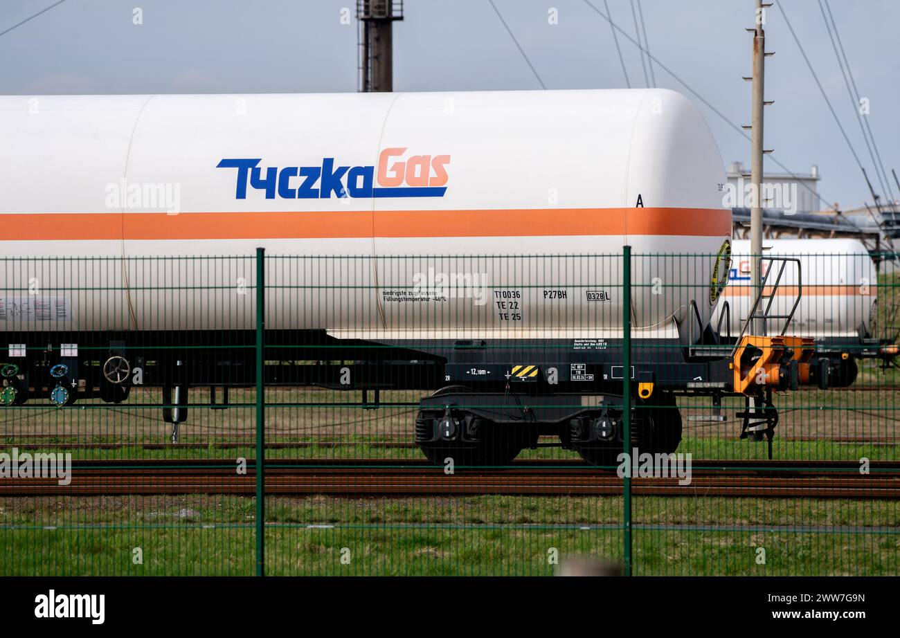 Wilhelmshaven, Germany. 14th Mar, 2024. Numerous tank wagons stand on ...