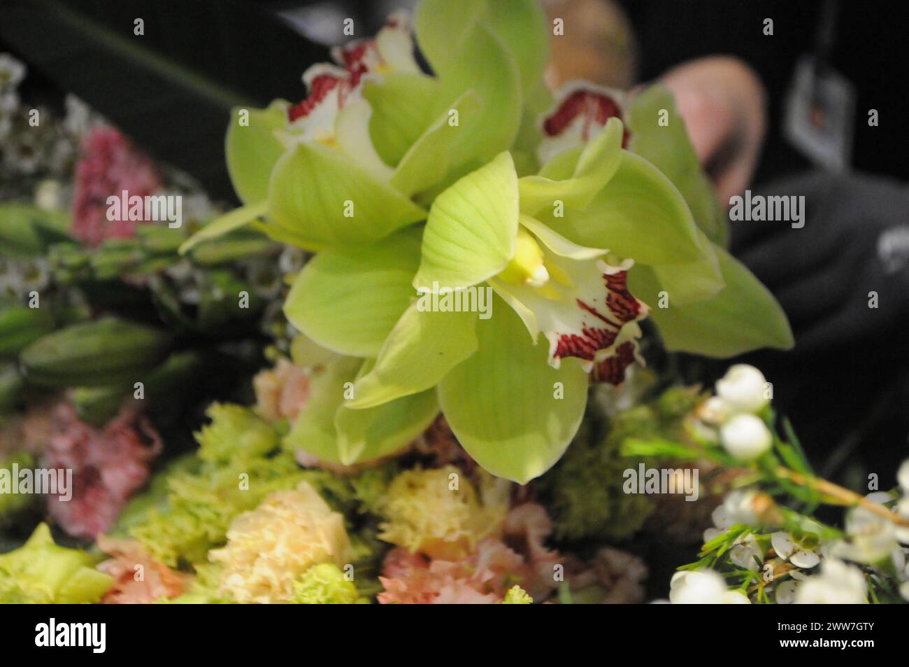 Copenhagen, Denmark /22 March 2024/Flower bouquesrs for sale in danish ...