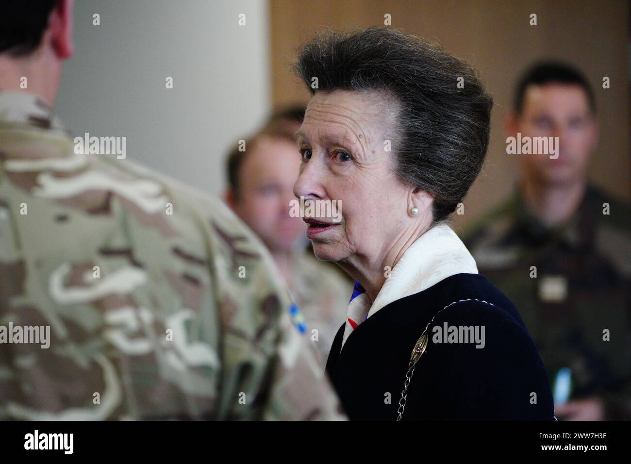 The Princess Royal speaking to soldiers during her visit to the ...