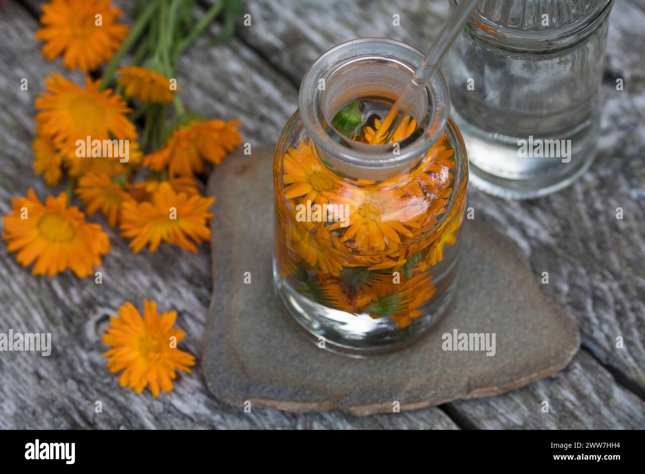 Marigold tincture hi-res stock photography and images - Alamy
