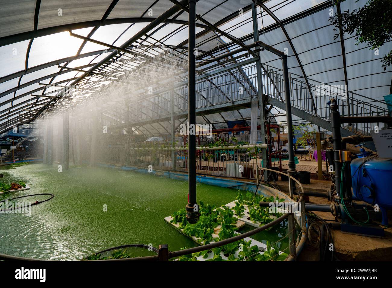 Hydro solar pool for growing vegetables Hydroponics is a type of ...