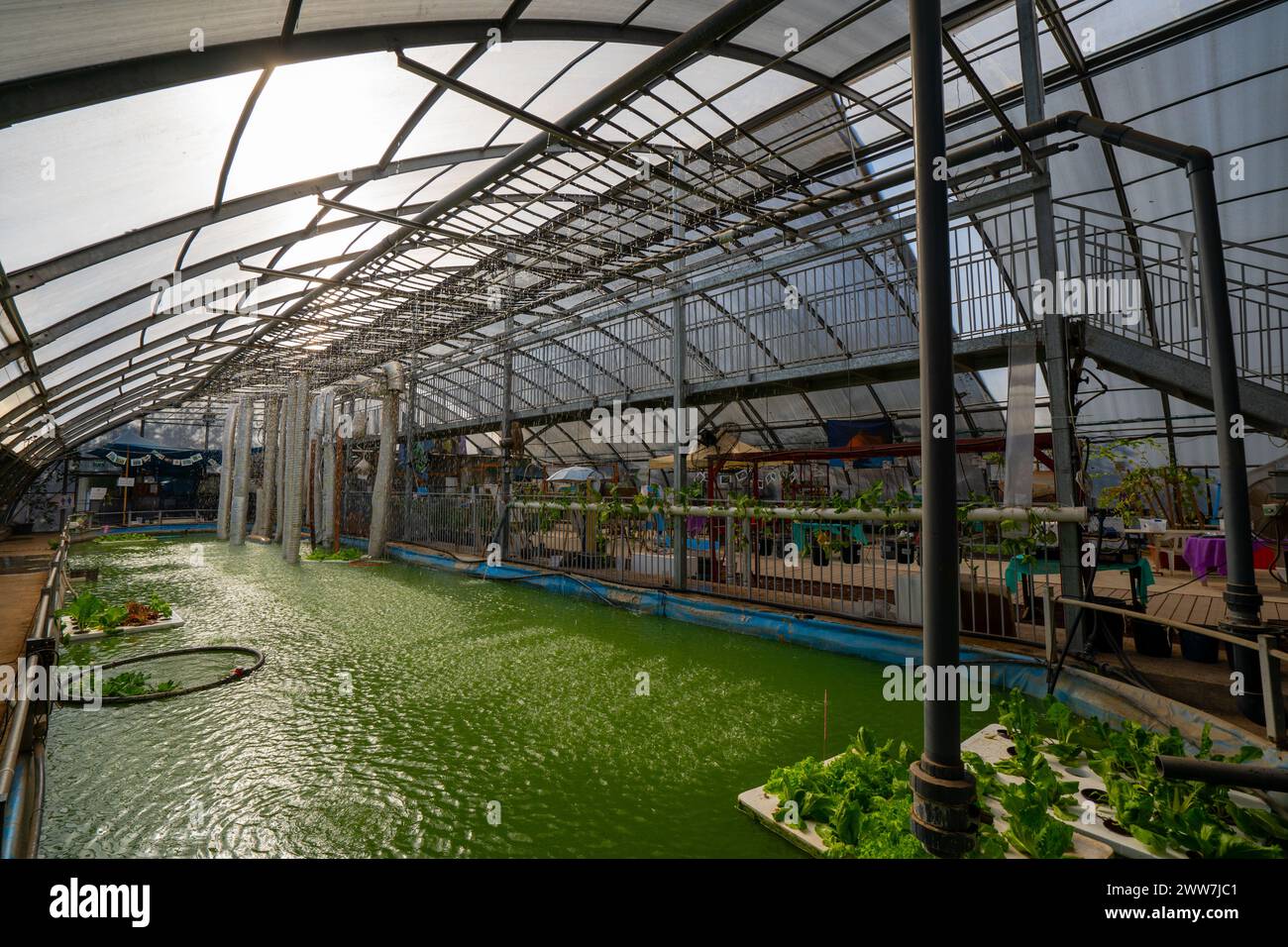 Hydro solar greenhouse hi-res stock photography and images - Alamy