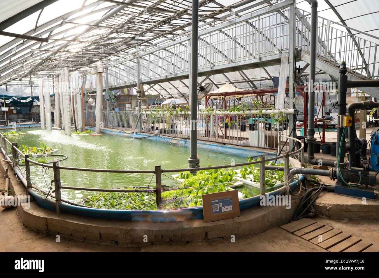 Hydro solar pool for growing vegetables Hydroponics is a type of ...
