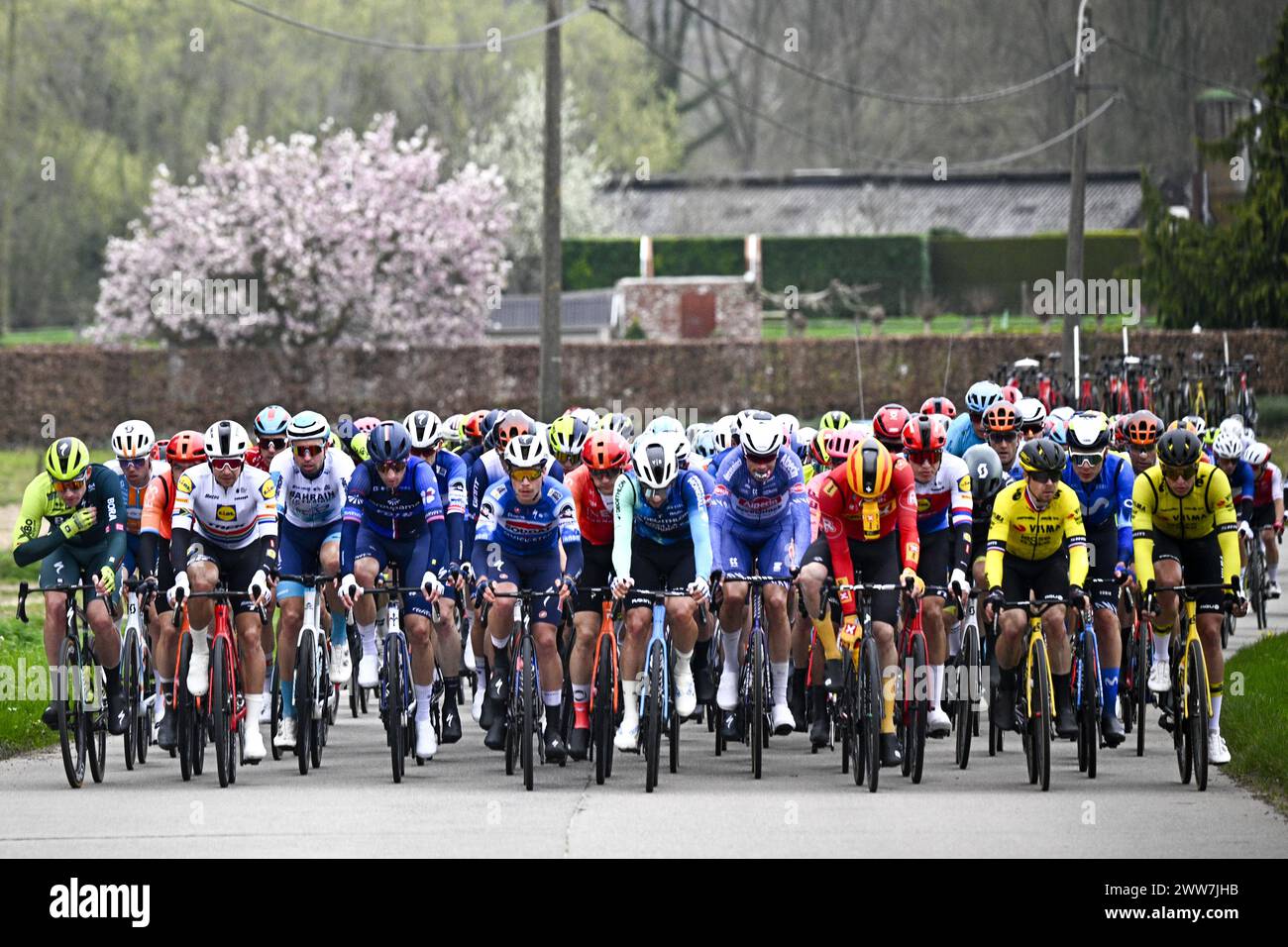 Harelbeke, Belgium. 22nd Mar, 2024. The pack of riders pictured in ...