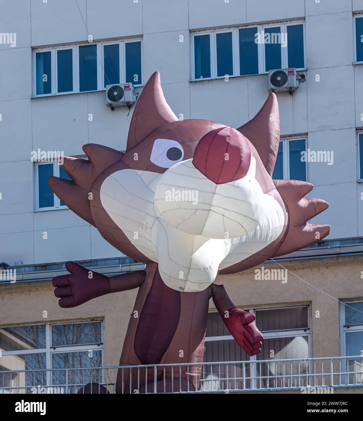 Beloved Sarajevo wolf mascot, Vucko, arrives at building Stock Photo ...