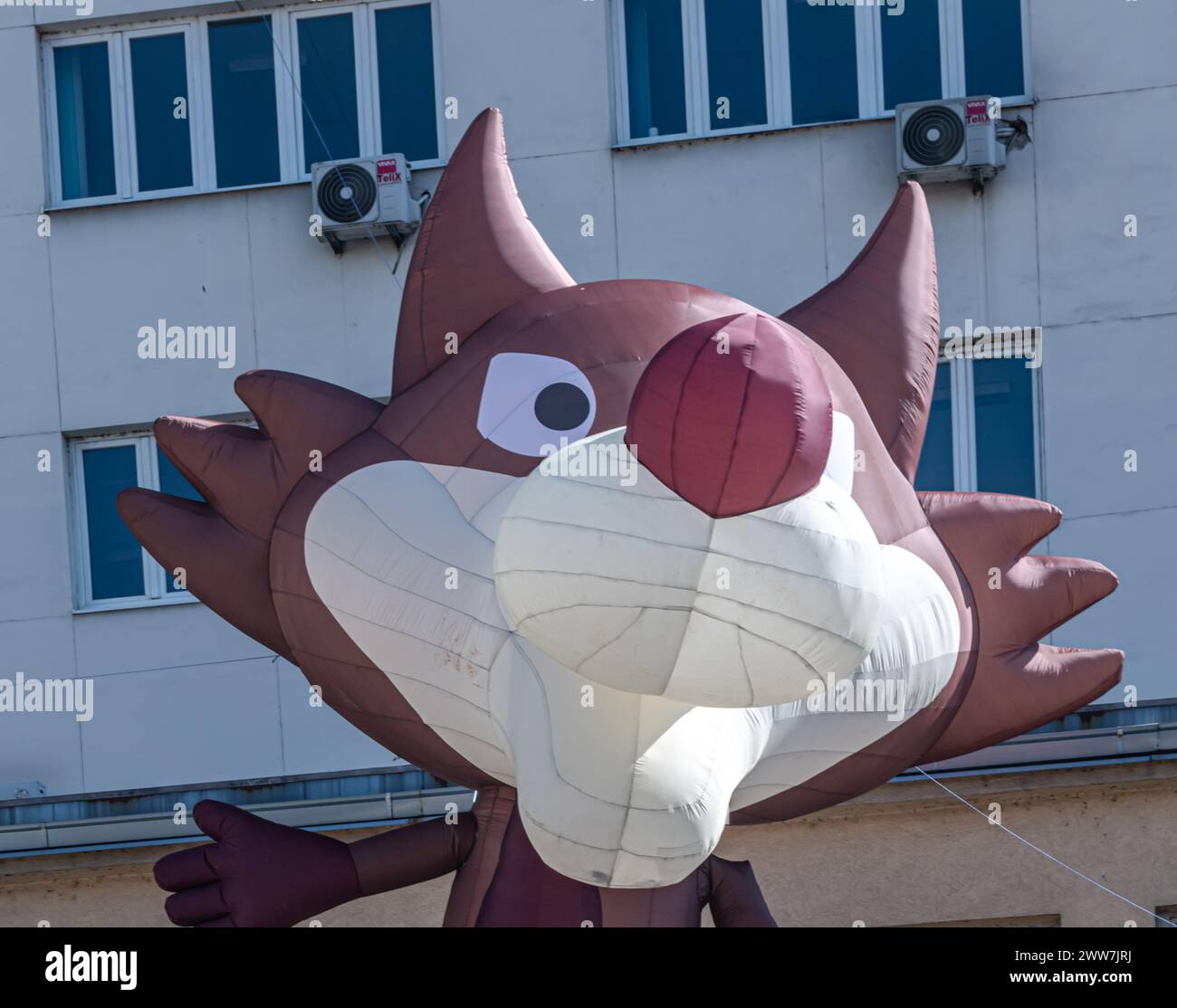 Beloved Sarajevo wolf mascot, Vucko, arrives at building Stock Photo ...