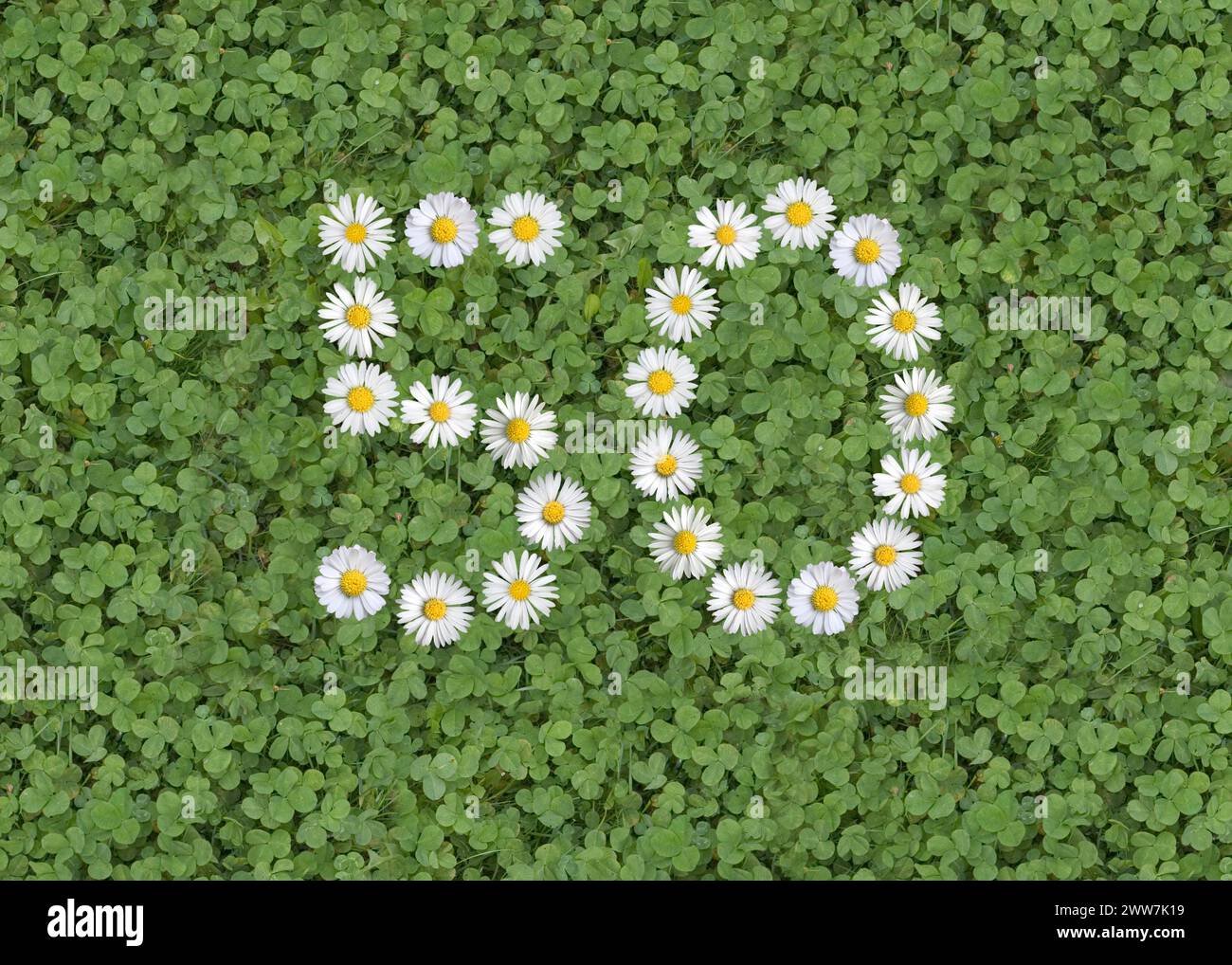 Number 50 fifty written with daisies Stock Photo - Alamy