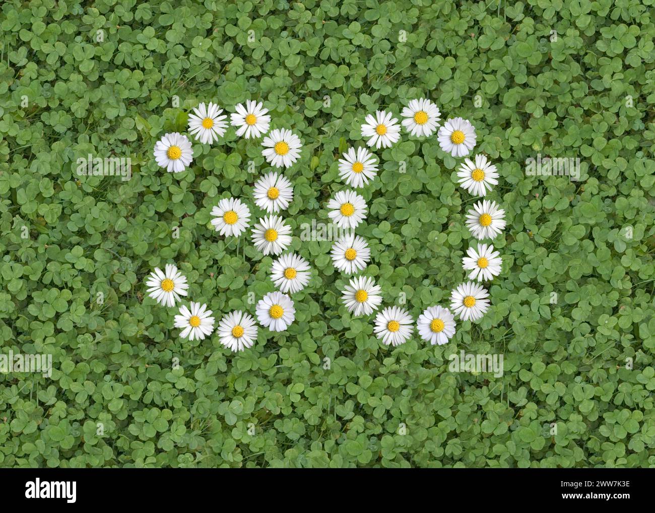 Number 30 thirty written with daisies Stock Photo - Alamy
