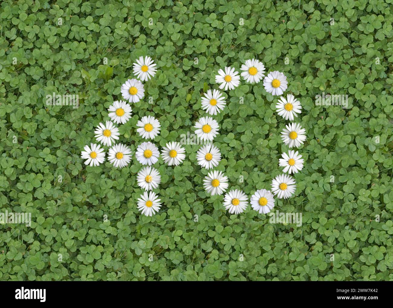 Number fourty hi-res stock photography and images - Alamy