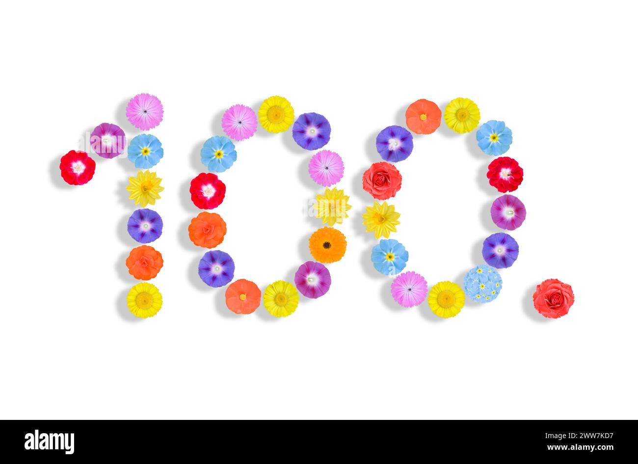 Numbers written with flower heads Stock Photo - Alamy