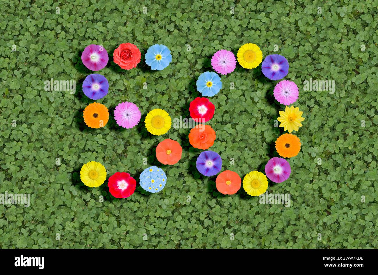 Numbers written with flower heads Stock Photo - Alamy