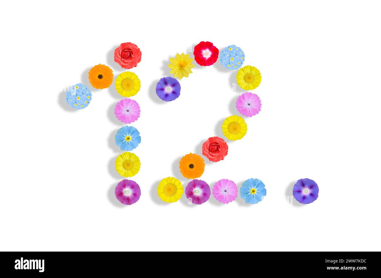 Numbers written with flowers Stock Photo - Alamy