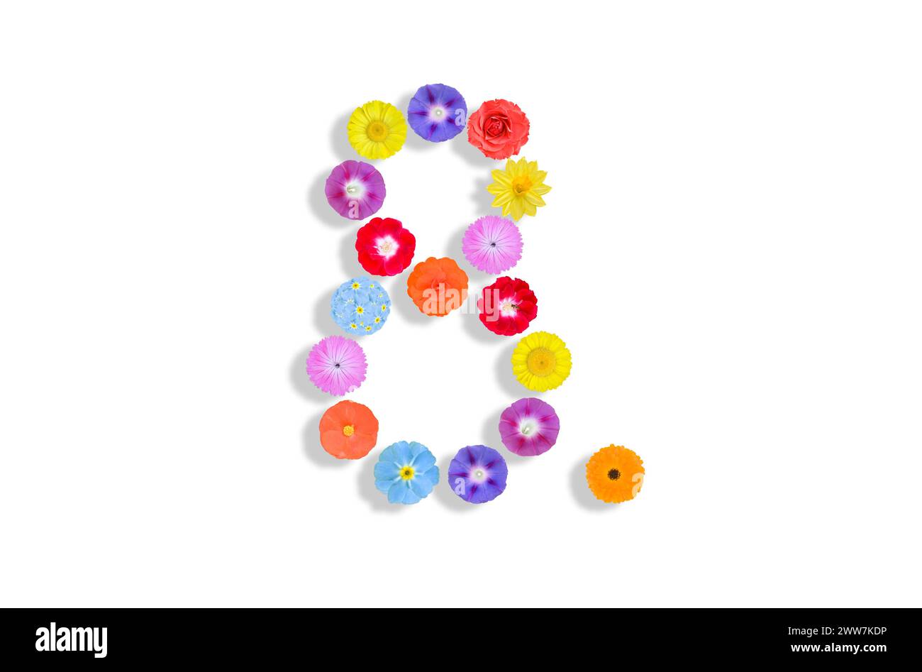 Eight different flowers hi-res stock photography and images - Alamy
