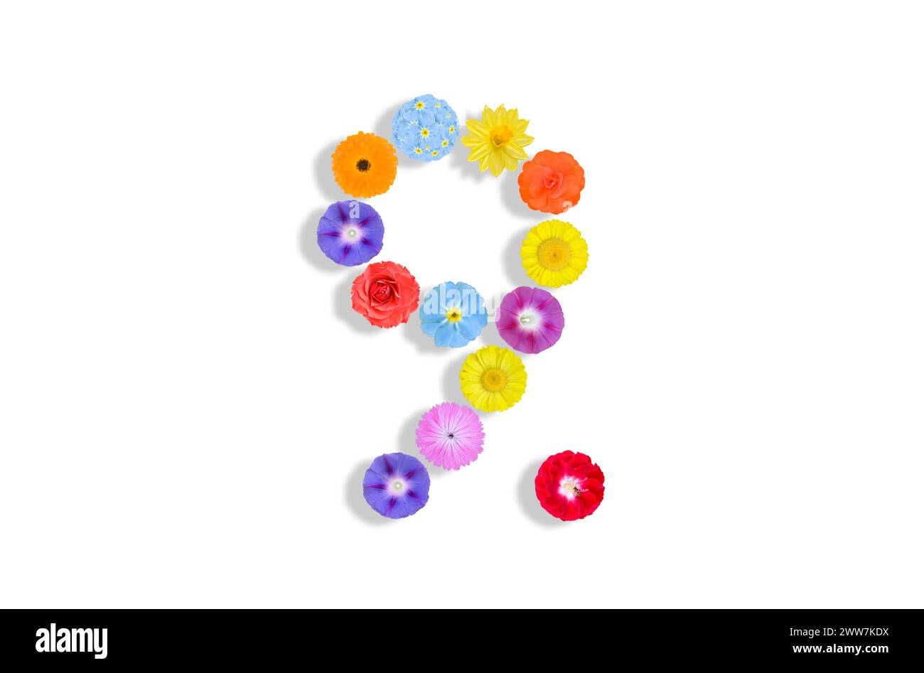 Numbers written with flowers Stock Photo - Alamy