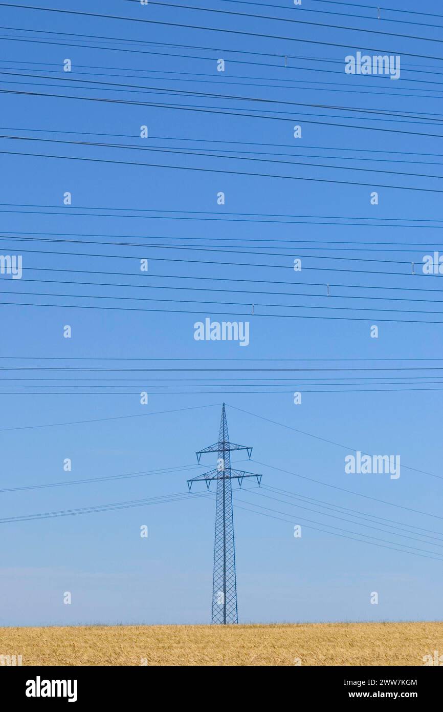 High voltage cables and pylon standing in a summer field Stock Photo ...