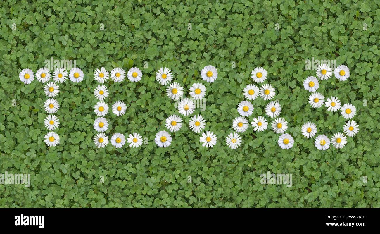Word Texas written with daisies Stock Photo - Alamy