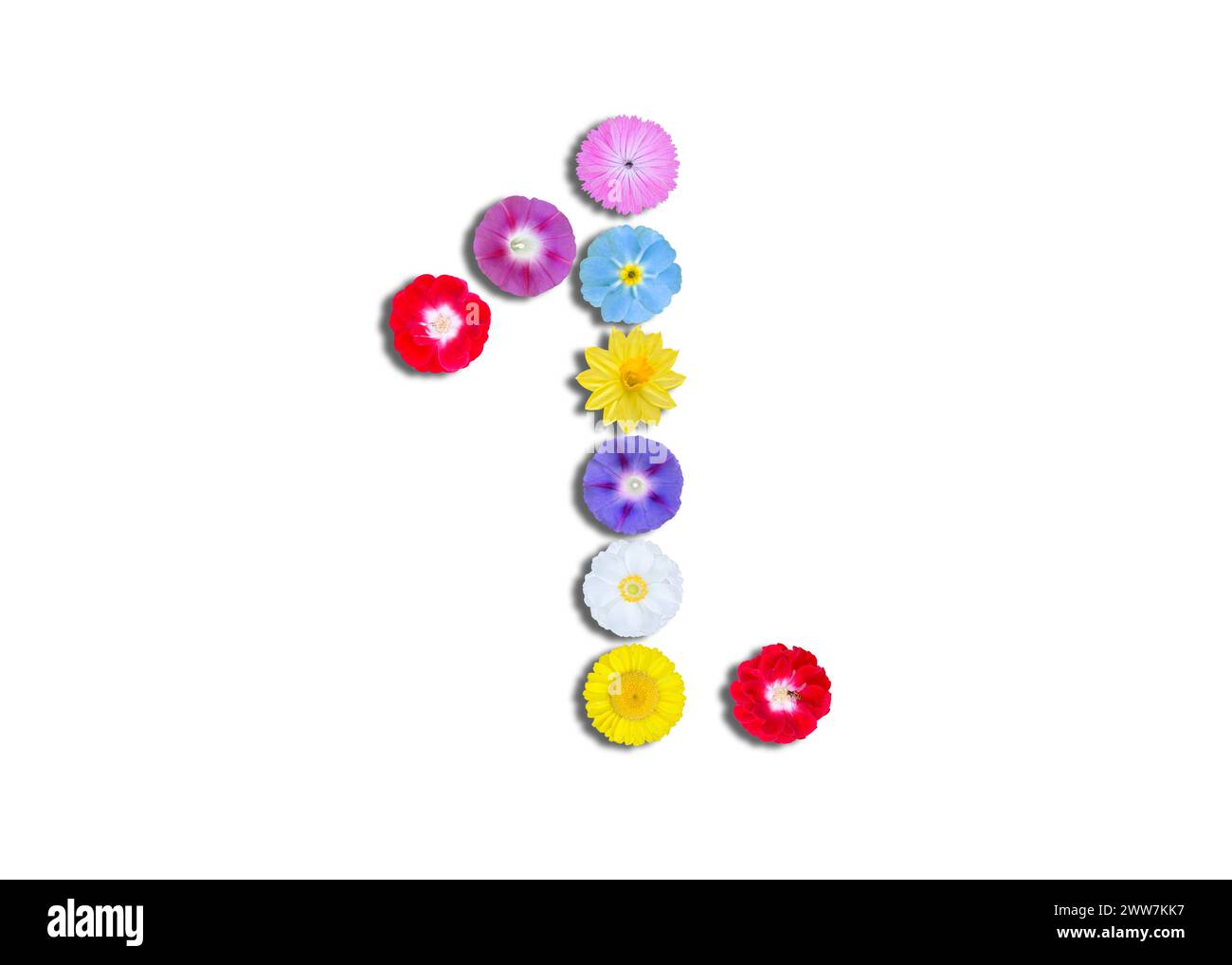 Heads line up Cut Out Stock Images & Pictures - Alamy