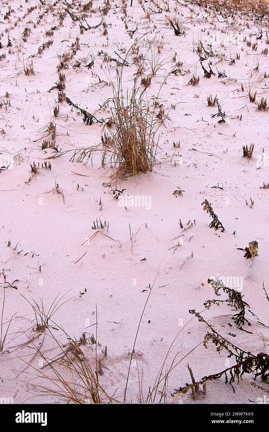 Visual tranquility hi-res stock photography and images - Alamy