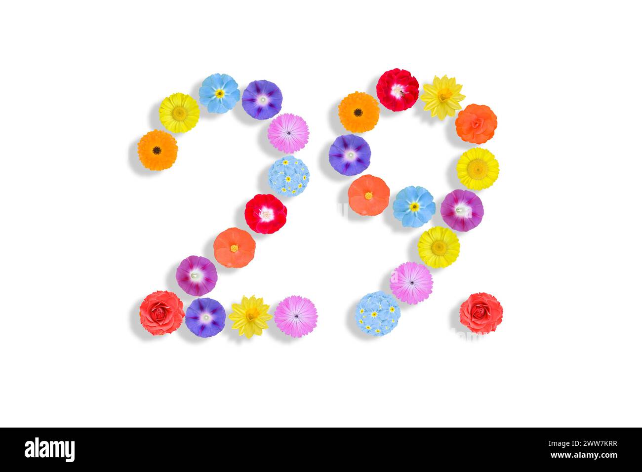 Colouring by numbers Cut Out Stock Images & Pictures - Alamy