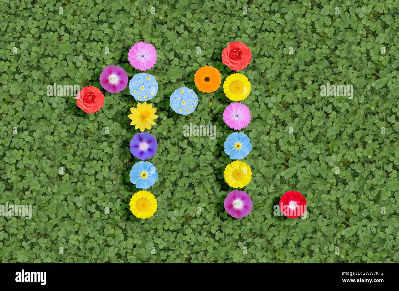 Numbers written with flowers Stock Photo - Alamy