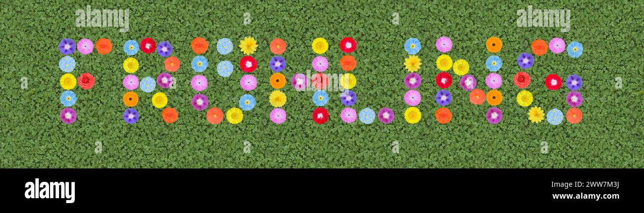 German word Fruehling written with flowers Stock Photo - Alamy