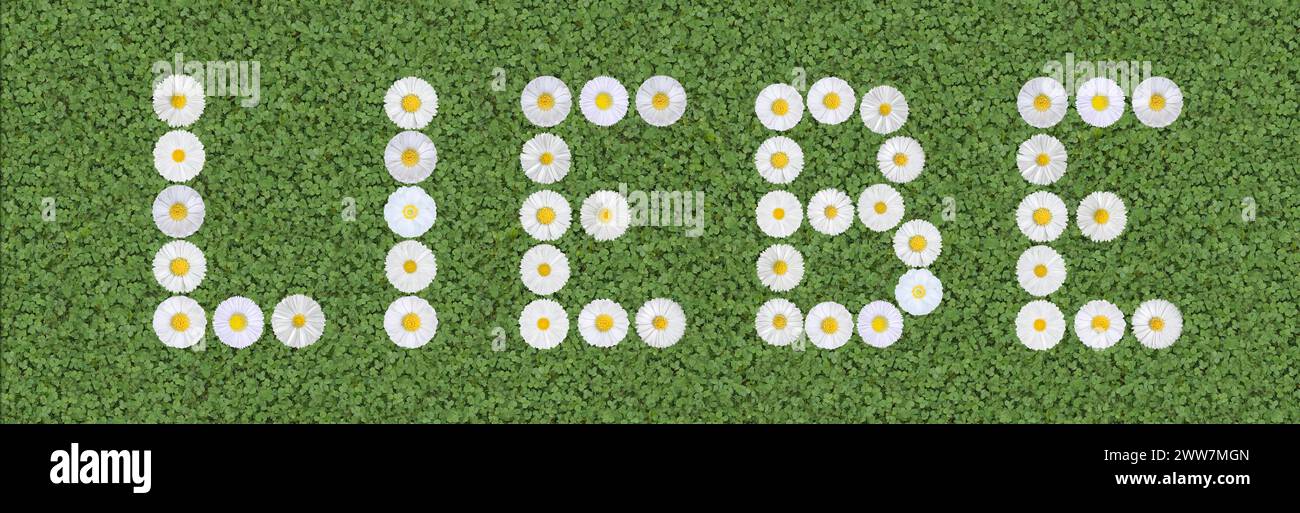 German word Liebe love written with daisies Stock Photo - Alamy