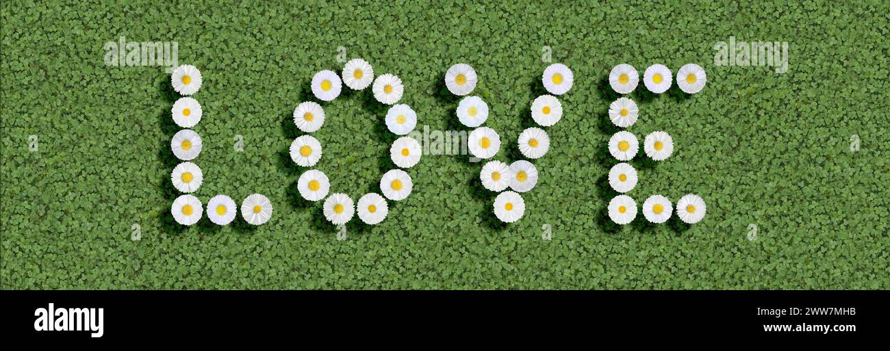 Love word written daisy hi-res stock photography and images - Alamy