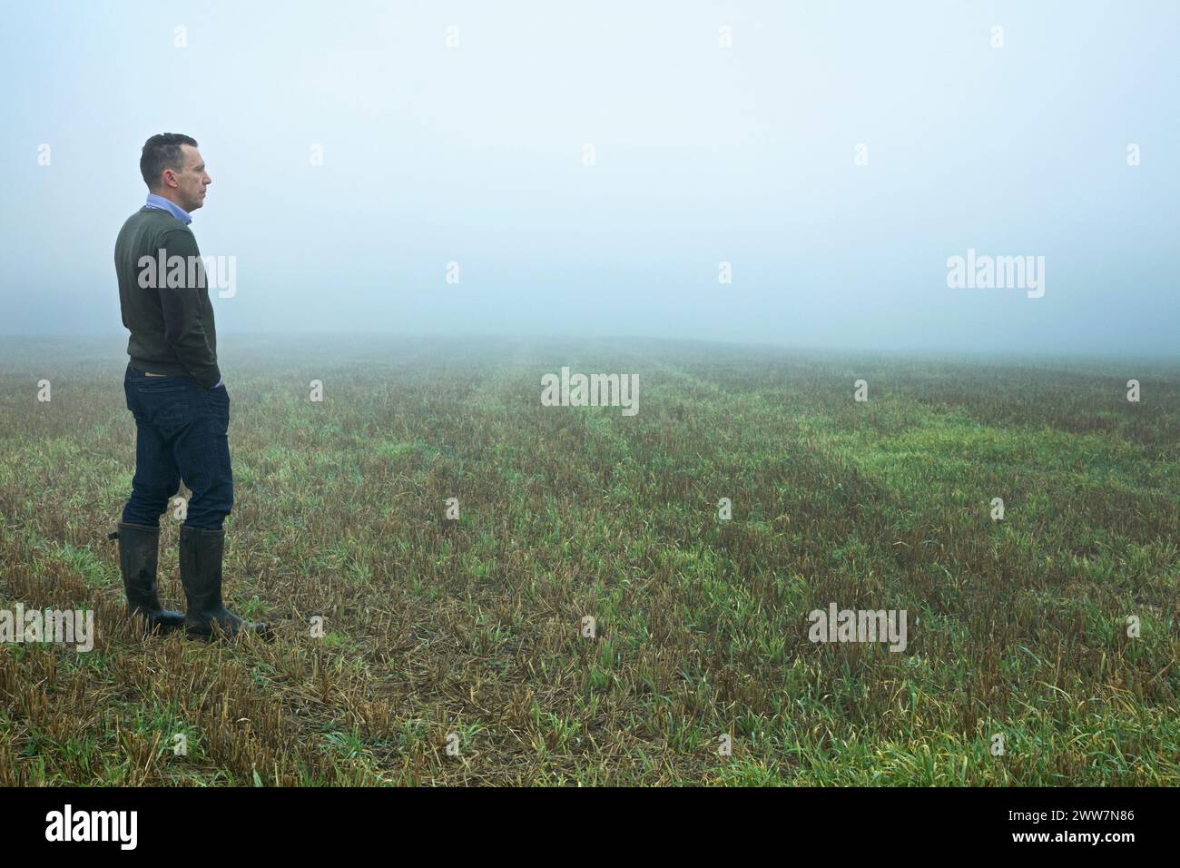 Man Standing in Field Stock Photo - Alamy