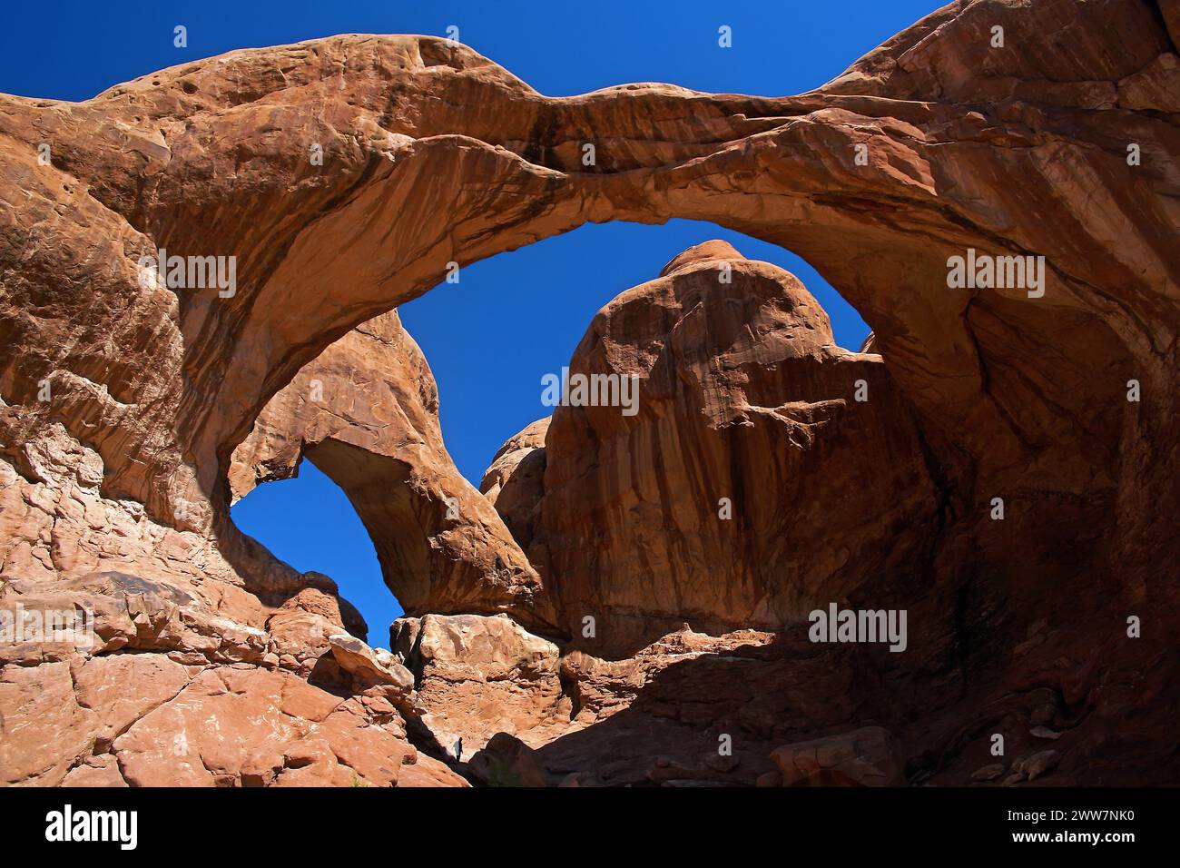 USA, Utah, Arches National Park, Double Arch, rock arch, rock ...