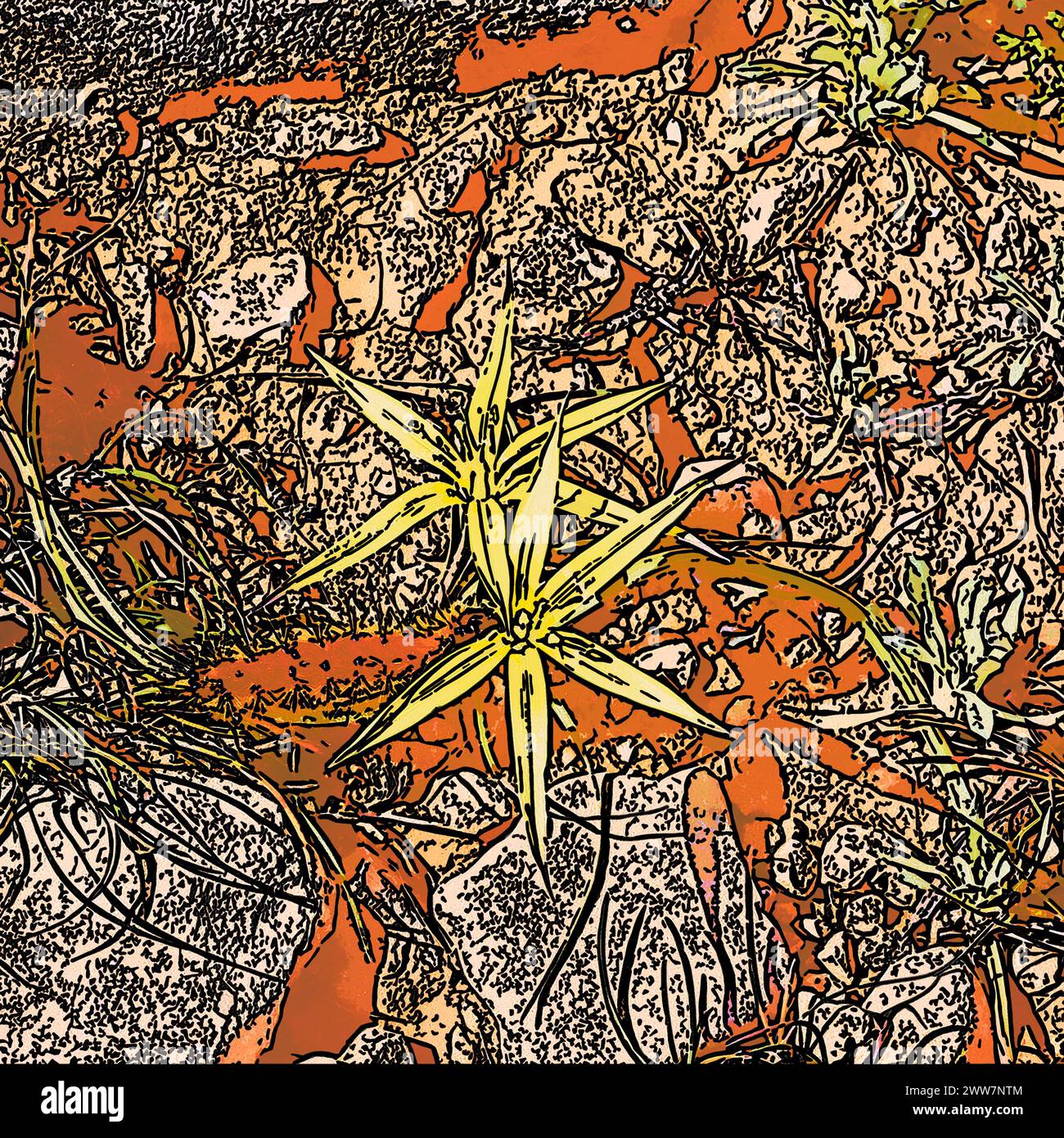 Digitally enhanced image of a Yellow Star-of-Bethlehem, (Gagea ...