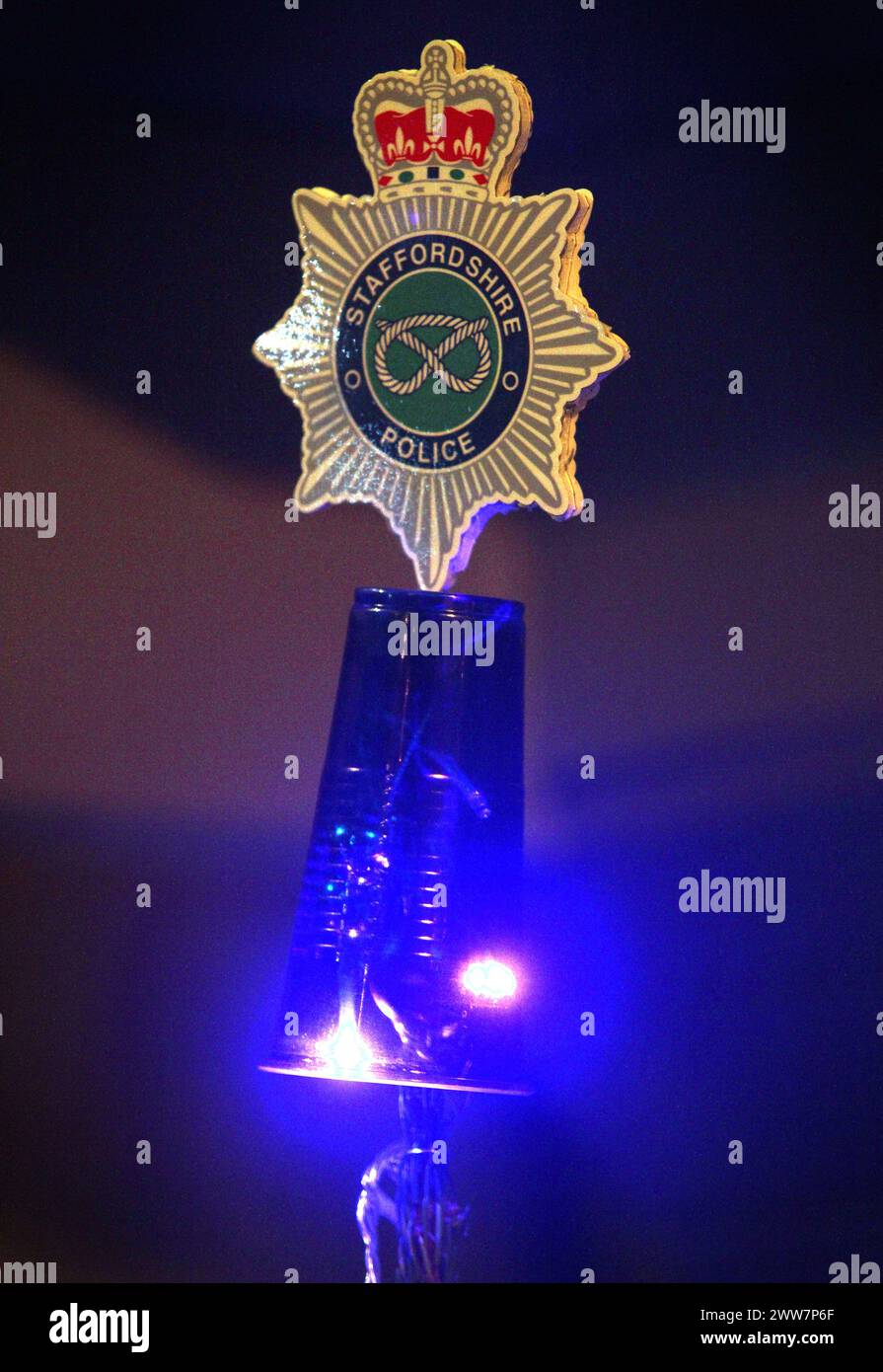 05/12/11...A police force has called in a team of 'special branch ...