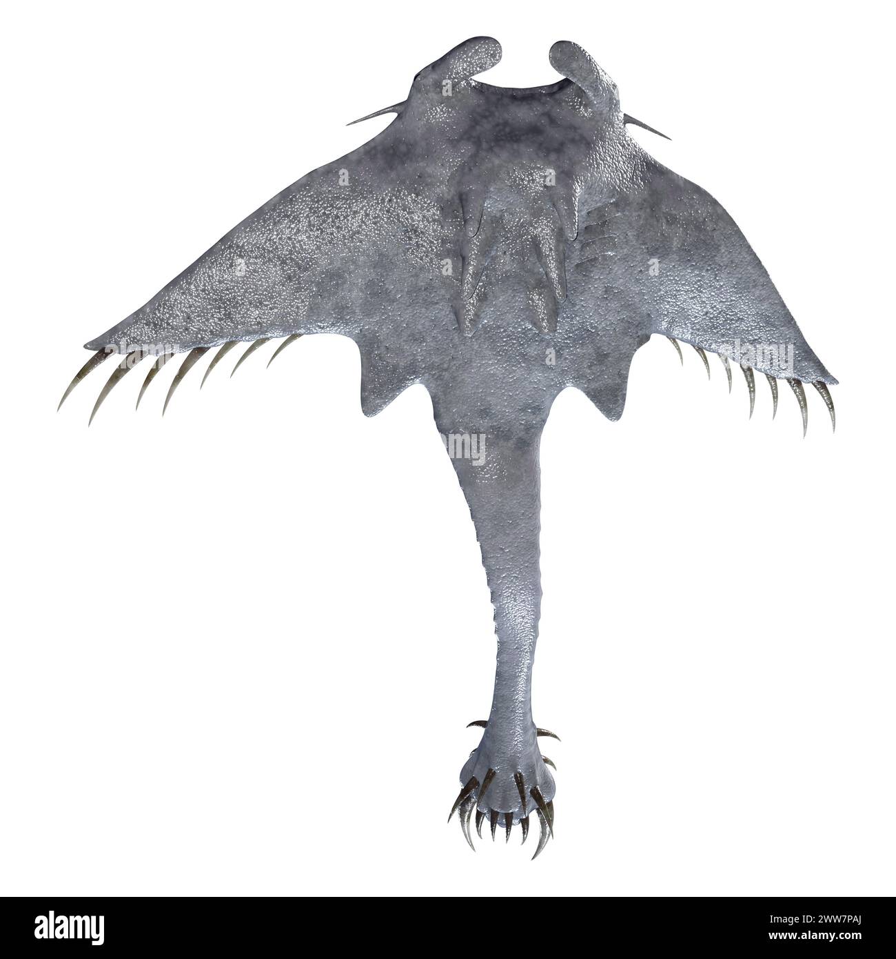 3D rendering of a devil ray isolated on white background Stock Photo ...
