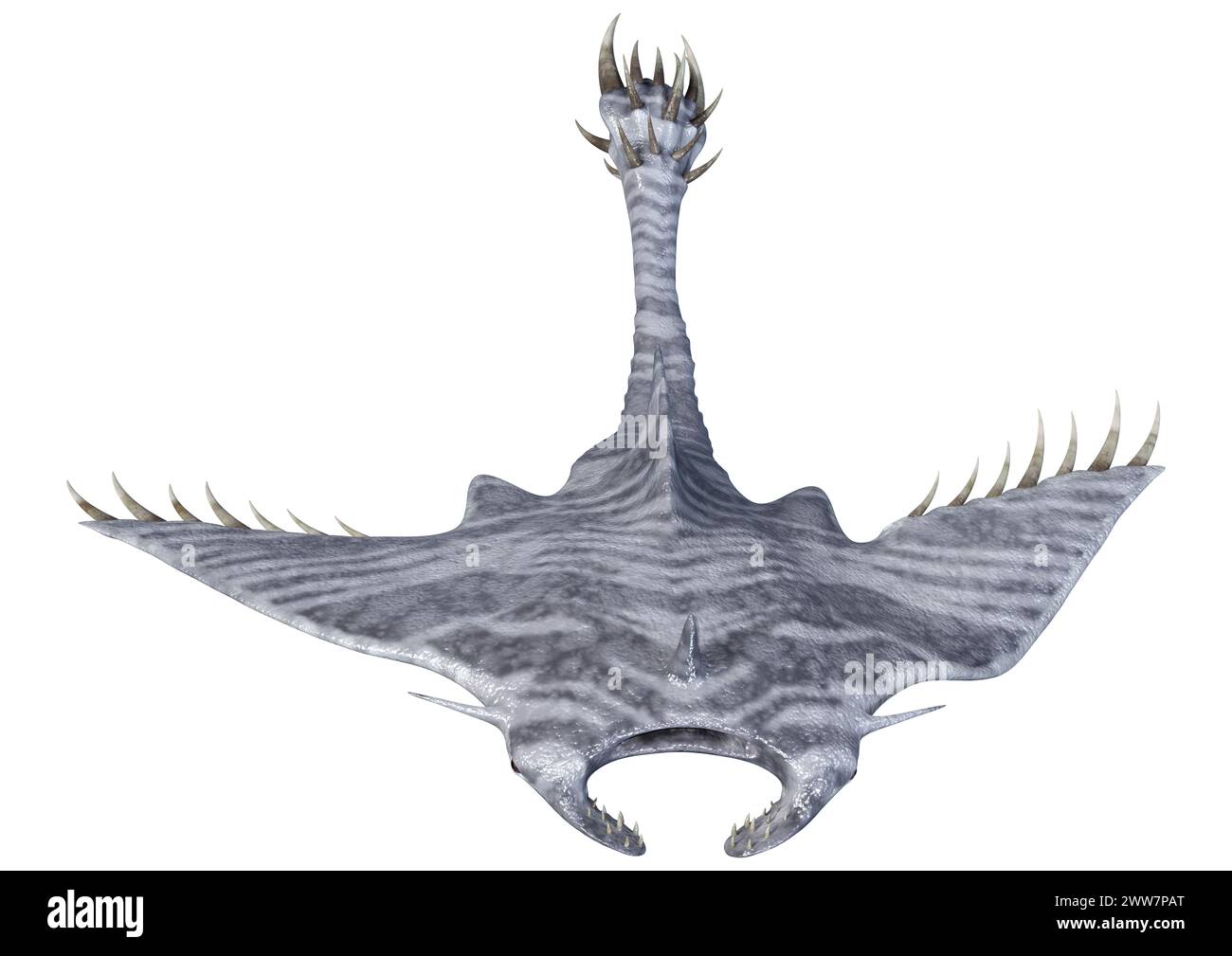 3D rendering of a devil ray isolated on white background Stock Photo ...