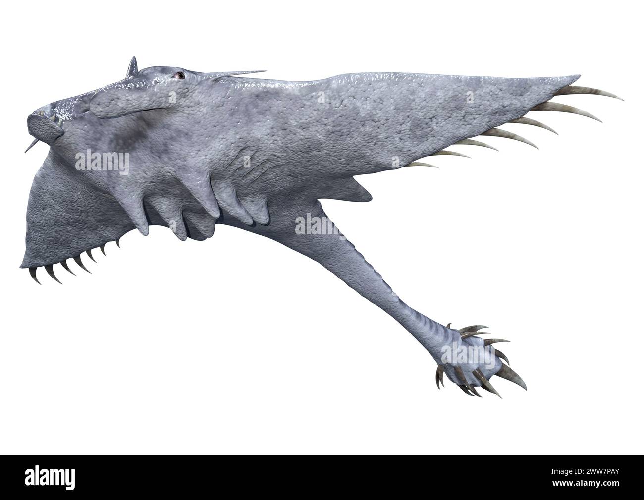 3D rendering of a devil ray isolated on white background Stock Photo ...