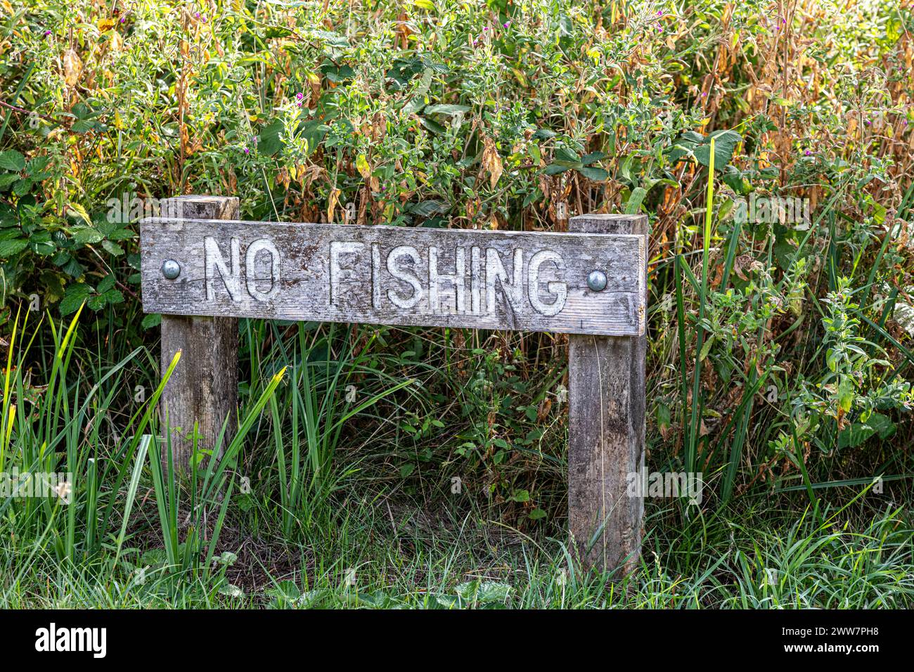 Farnham village sign hi-res stock photography and images - Alamy