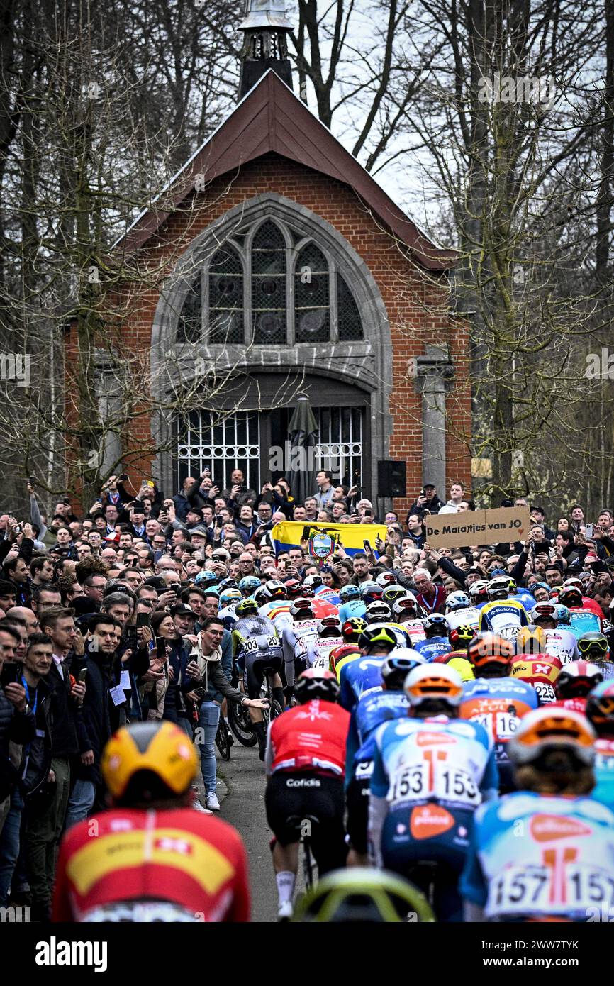 Harelbeke, Belgium. 22nd Mar, 2024. The pack of riders pictured in ...
