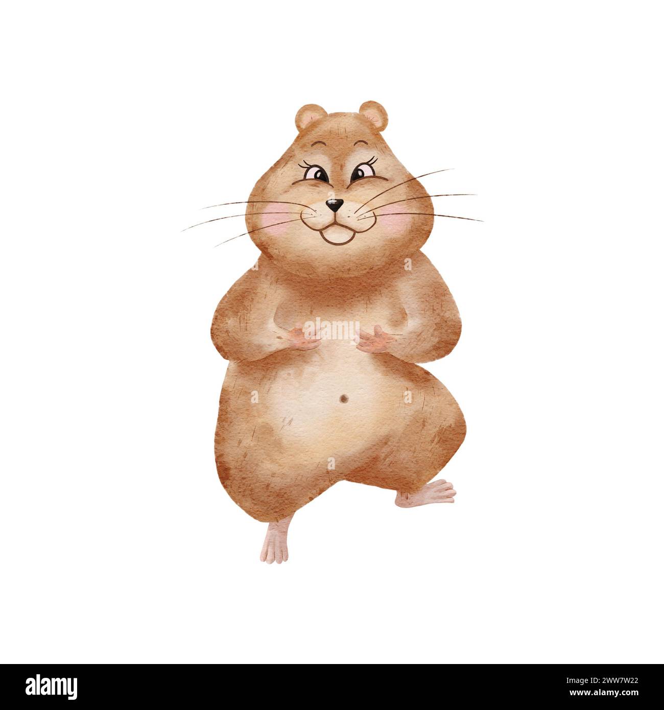 Watercolor hamster. Funny fat hamster isolated on white background ...