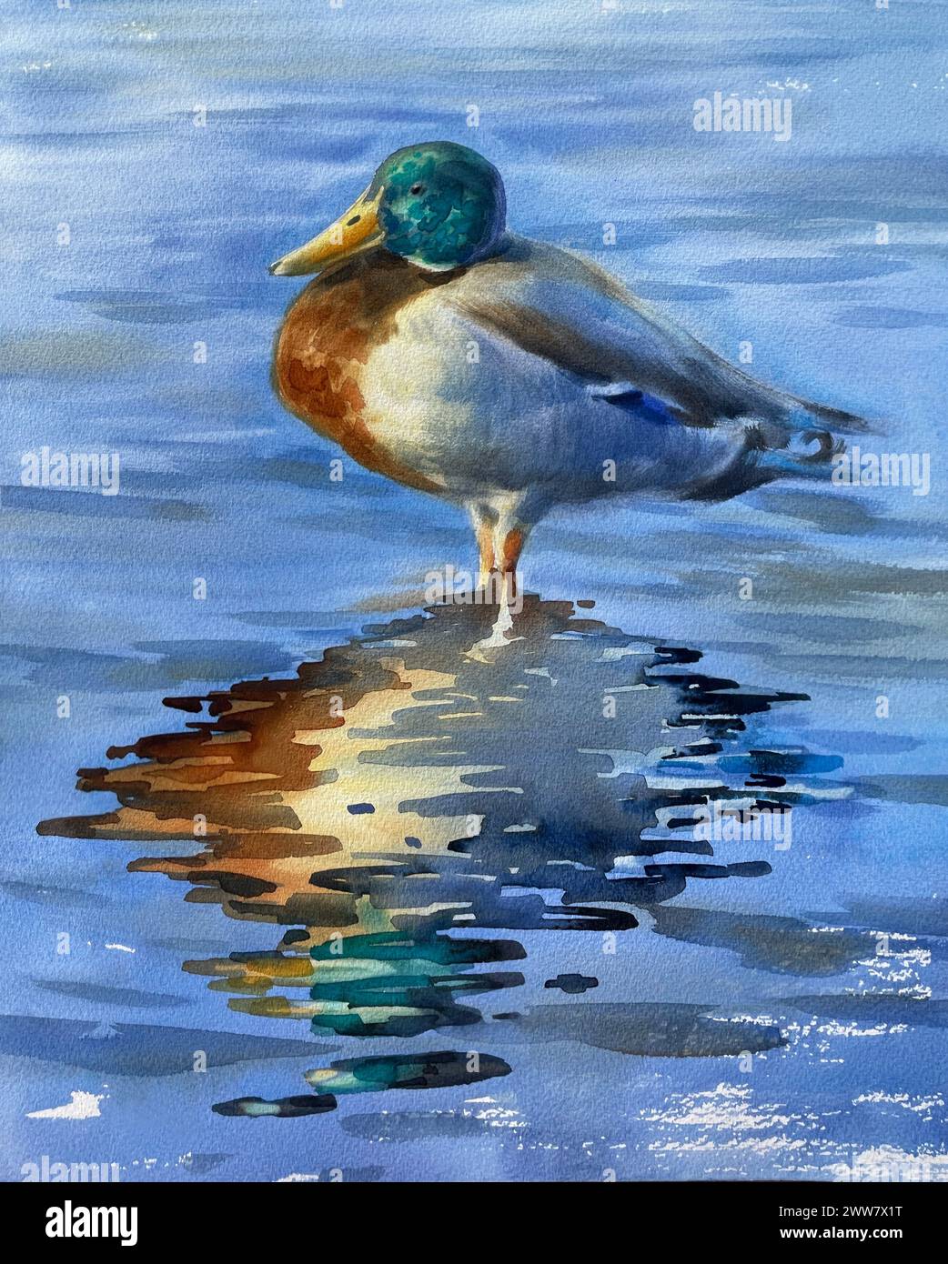 Painting realistic water hi-res stock photography and images - Alamy