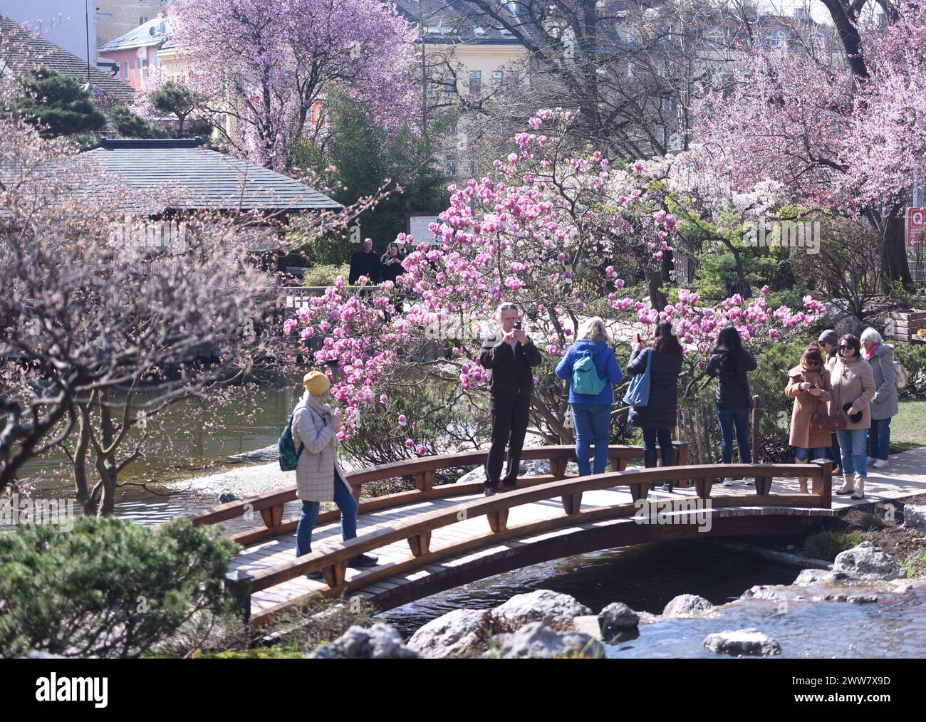 Vienna, Austria. 19th Mar, 2024. People visit a park in Vienna, Austria ...