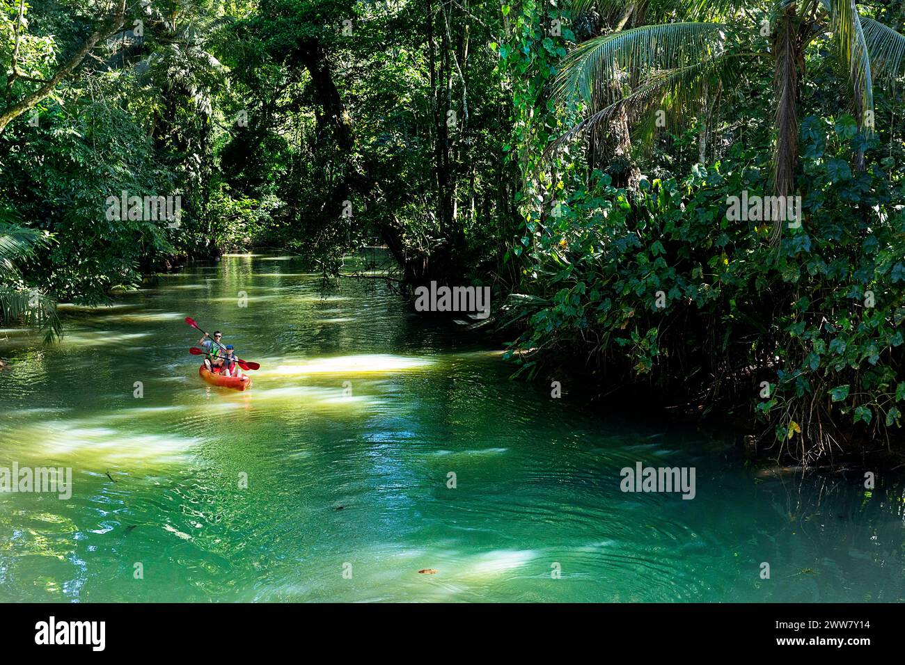 Tourists on a kayak paddling on a small river close to Puerto Viejo ...