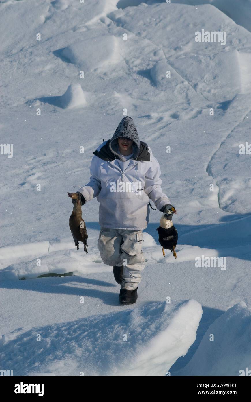 Block and tackel hi-res stock photography and images - Alamy