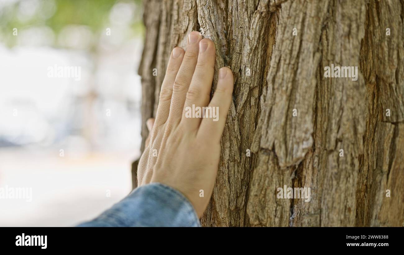 Close-up of a male hand touching a tree trunk in a blurred outdoor ...