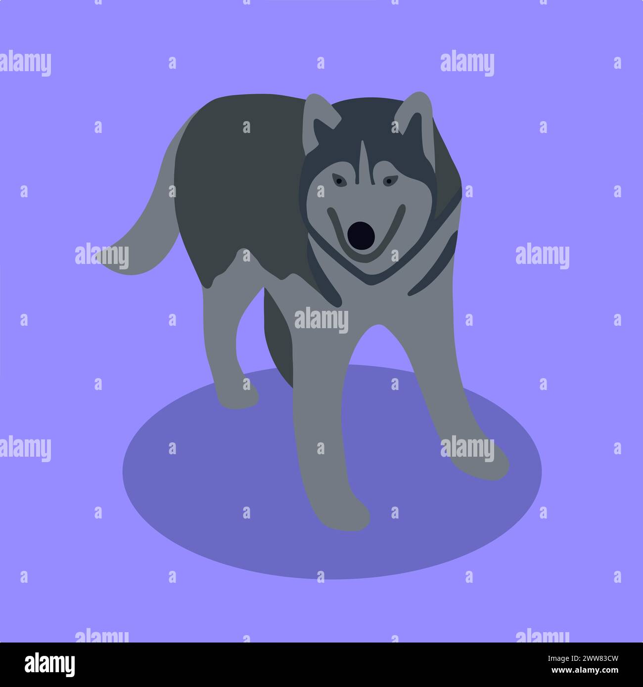 Husky dog vector isolated illustration Stock Vector Image & Art - Alamy